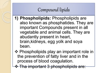 Lipids | PPTX
