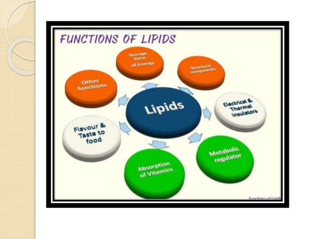 Lipids | PPTX