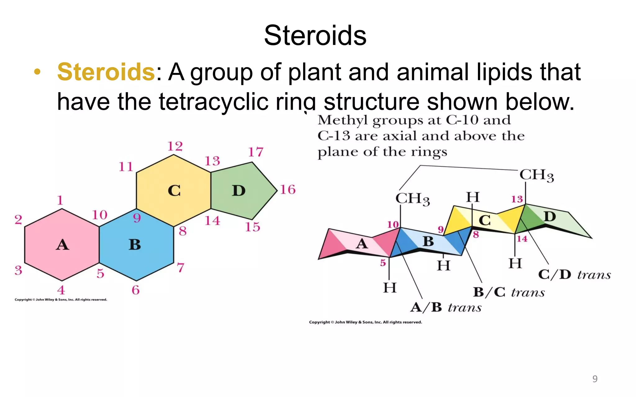 Lipids | PDF
