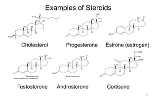 Lipids | PDF