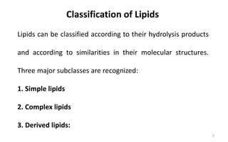 Lipids | PDF