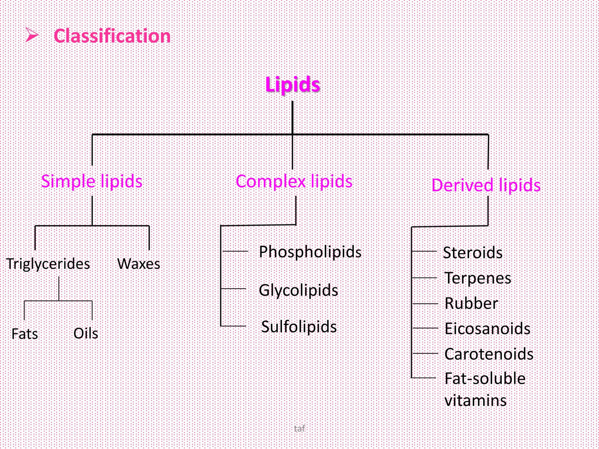 Lipids | PPTX