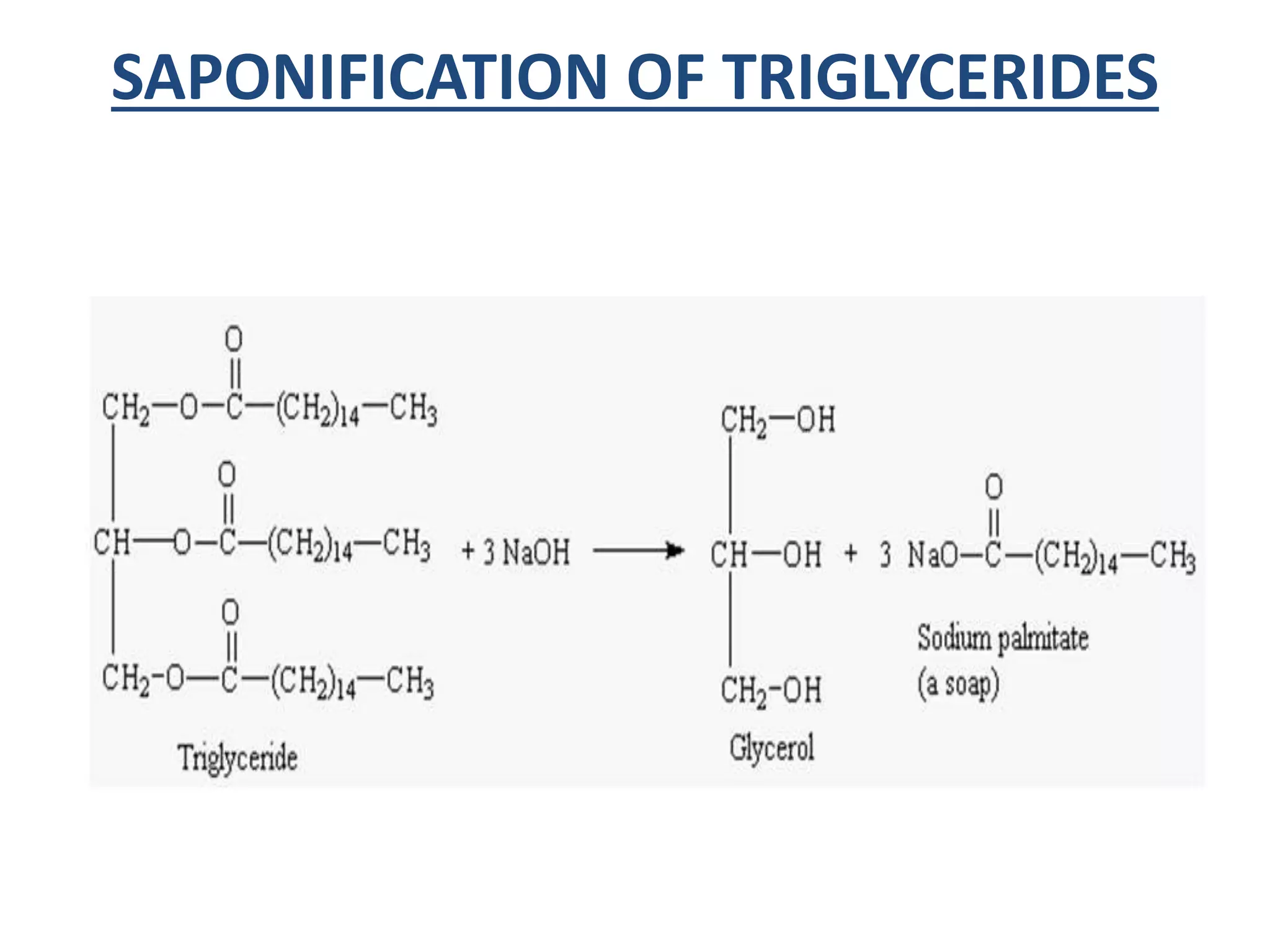 Lipids | PPTX