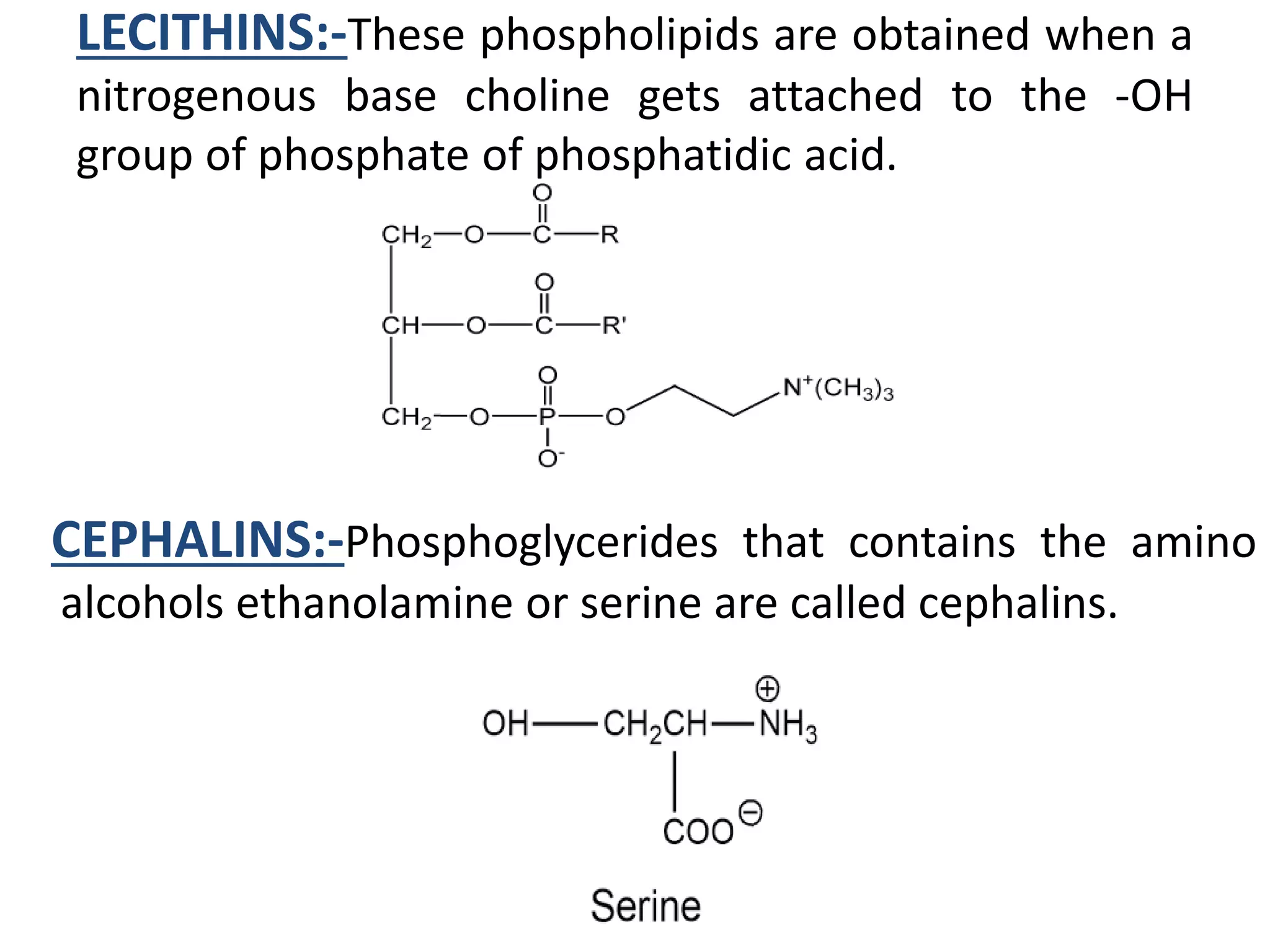 Lipids | PPTX
