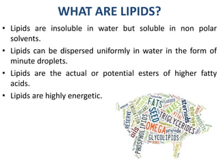 Lipids | PPTX