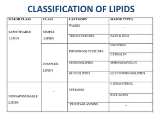 Lipids | PPTX