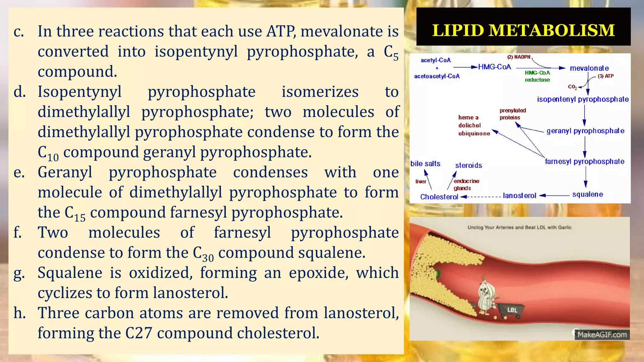 Lipids | PPT