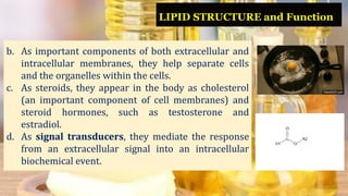 Lipids | PPT
