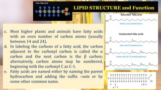 Lipids | PPT