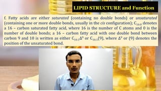 Lipids | PPT