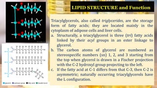 Lipids | PPT