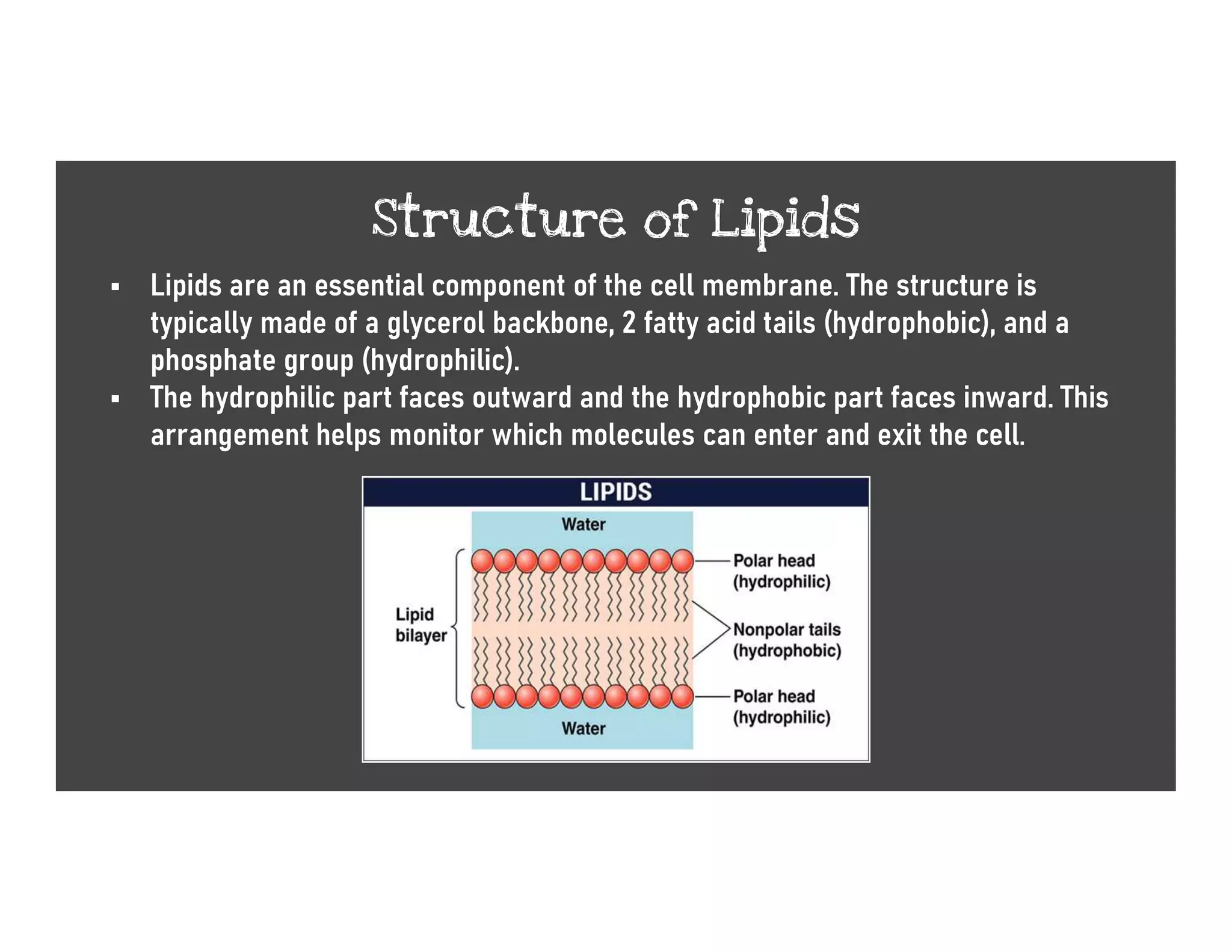 Lipids: Definition, Structure, classification, Properties and Function ...