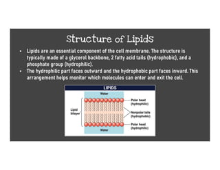 Lipids: Definition, Structure, classification, Properties and Function ...