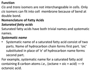 Lipids.pdf