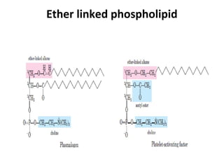 Lipids.pdf