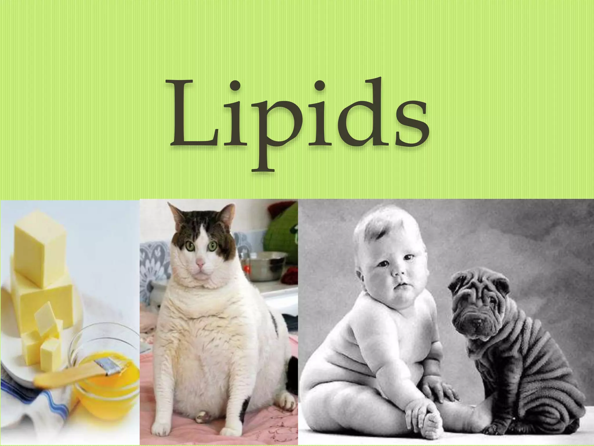 Lipids.pptx