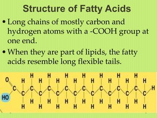 Lipids.pptx