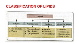 LIPIDS.pptx