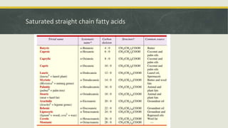 Lipids.pptx
