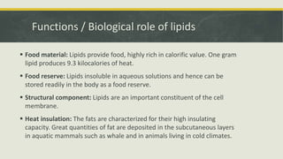 Lipids.pptx