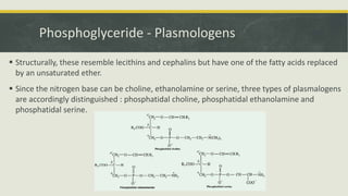 Lipids.pptx