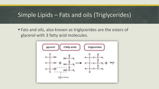 Lipids.pptx
