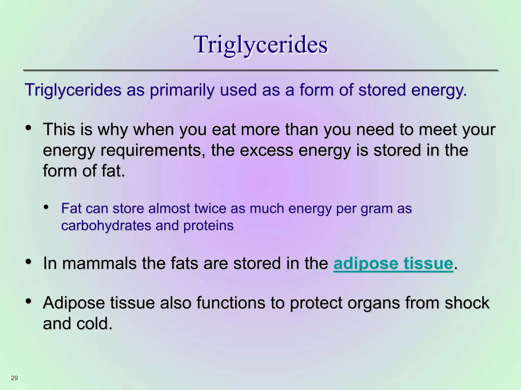 Lipids.ppt
