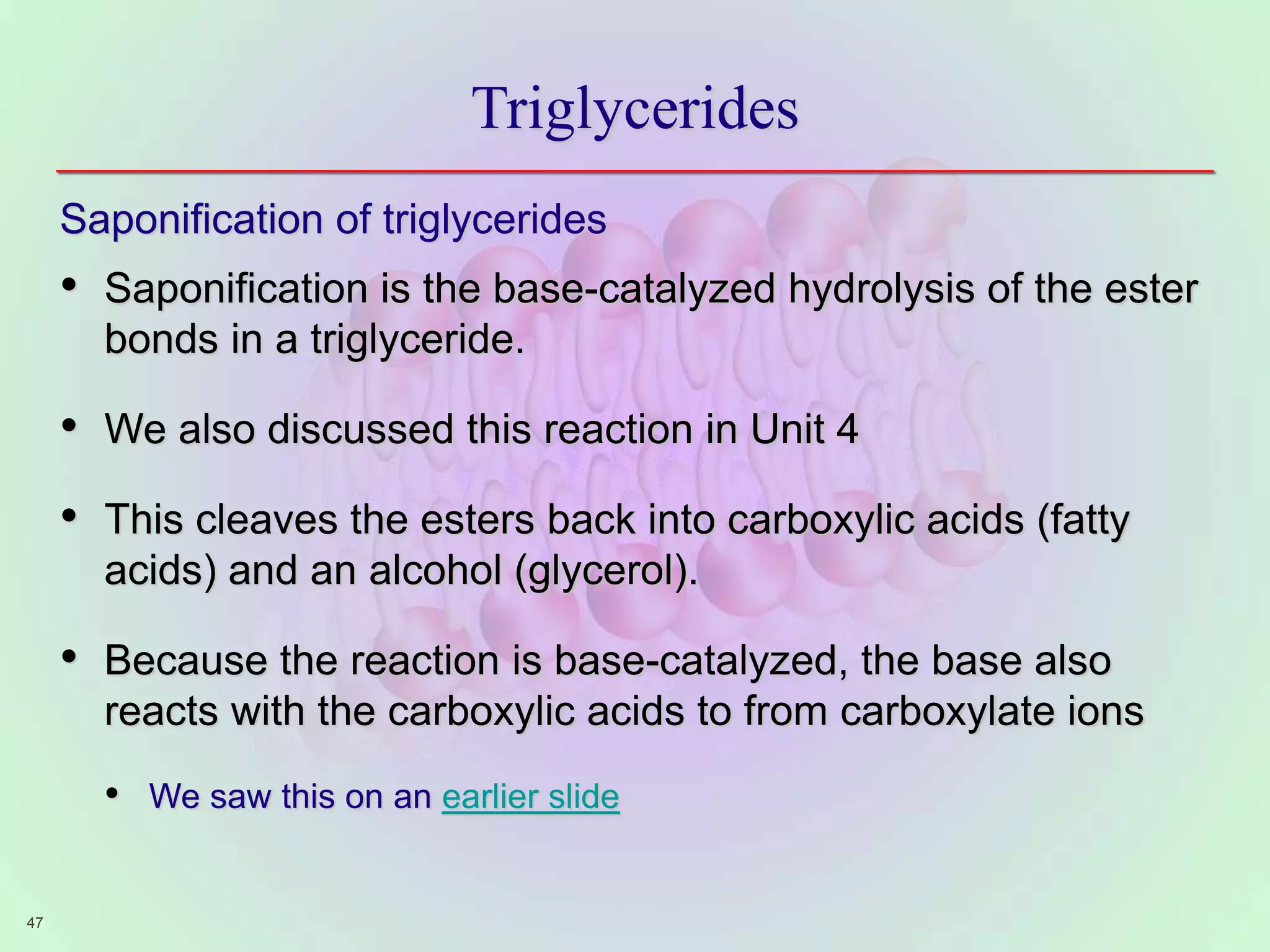 Lipids.ppt