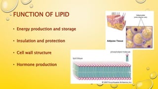LIPIDS.pptx