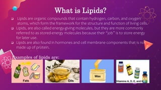 Lipids.pptx