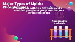 Lipids.pptx
