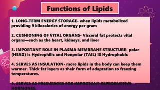 Lipids.pptx