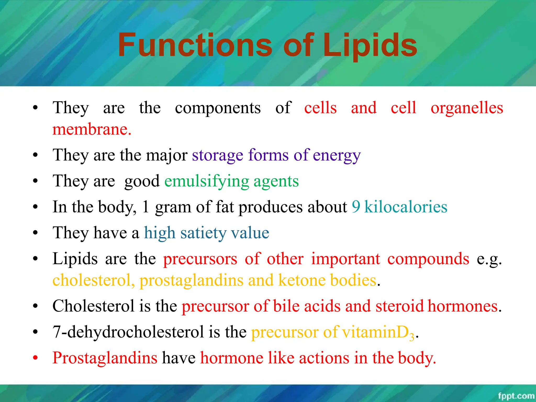 Lipids.pdf