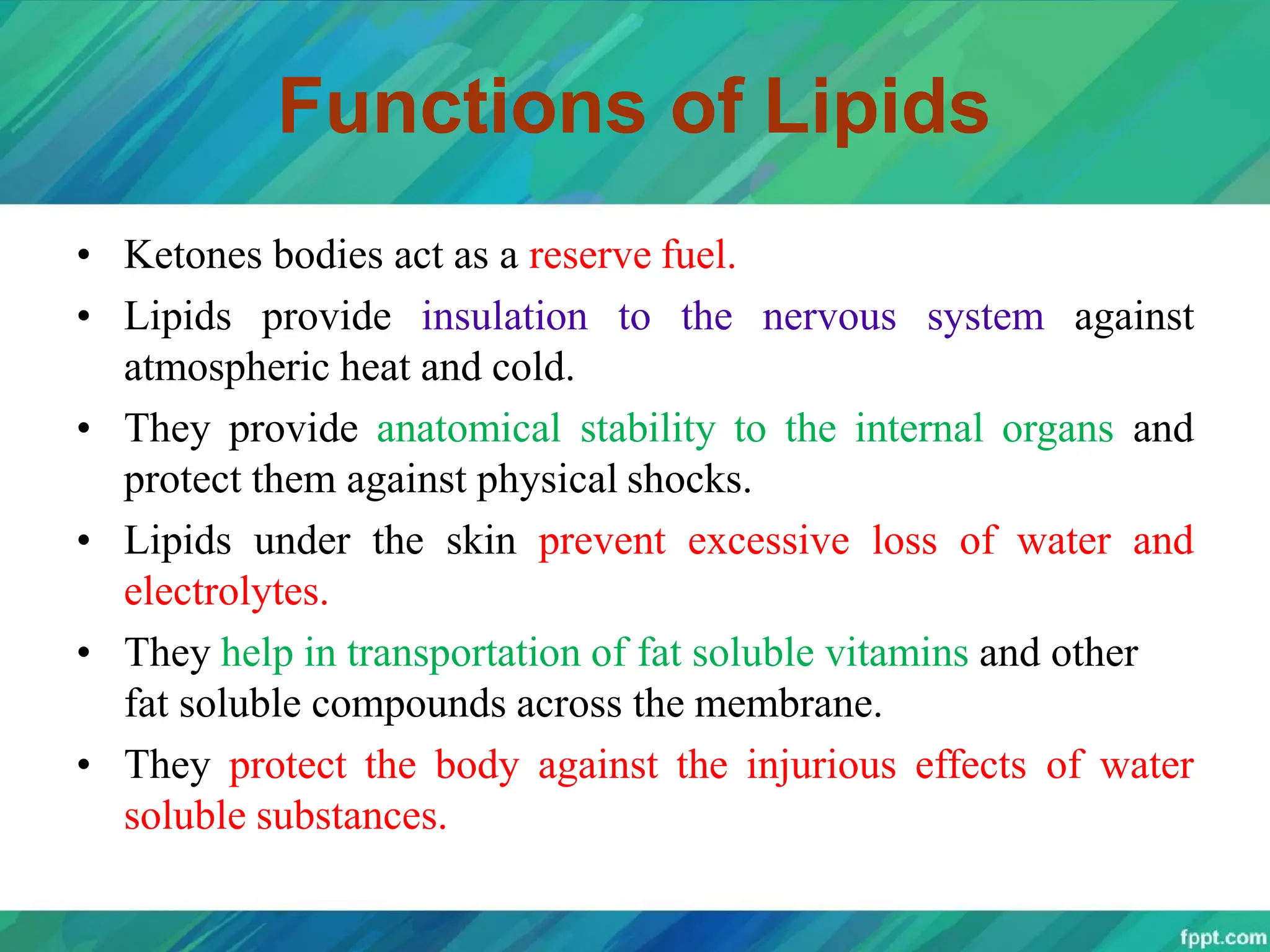 Lipids.pdf