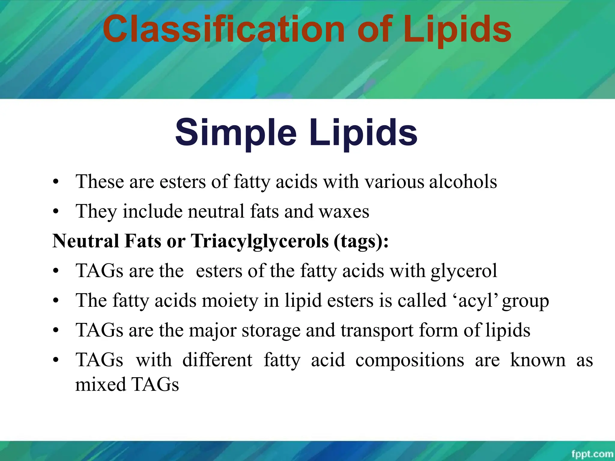 Lipids.pdf