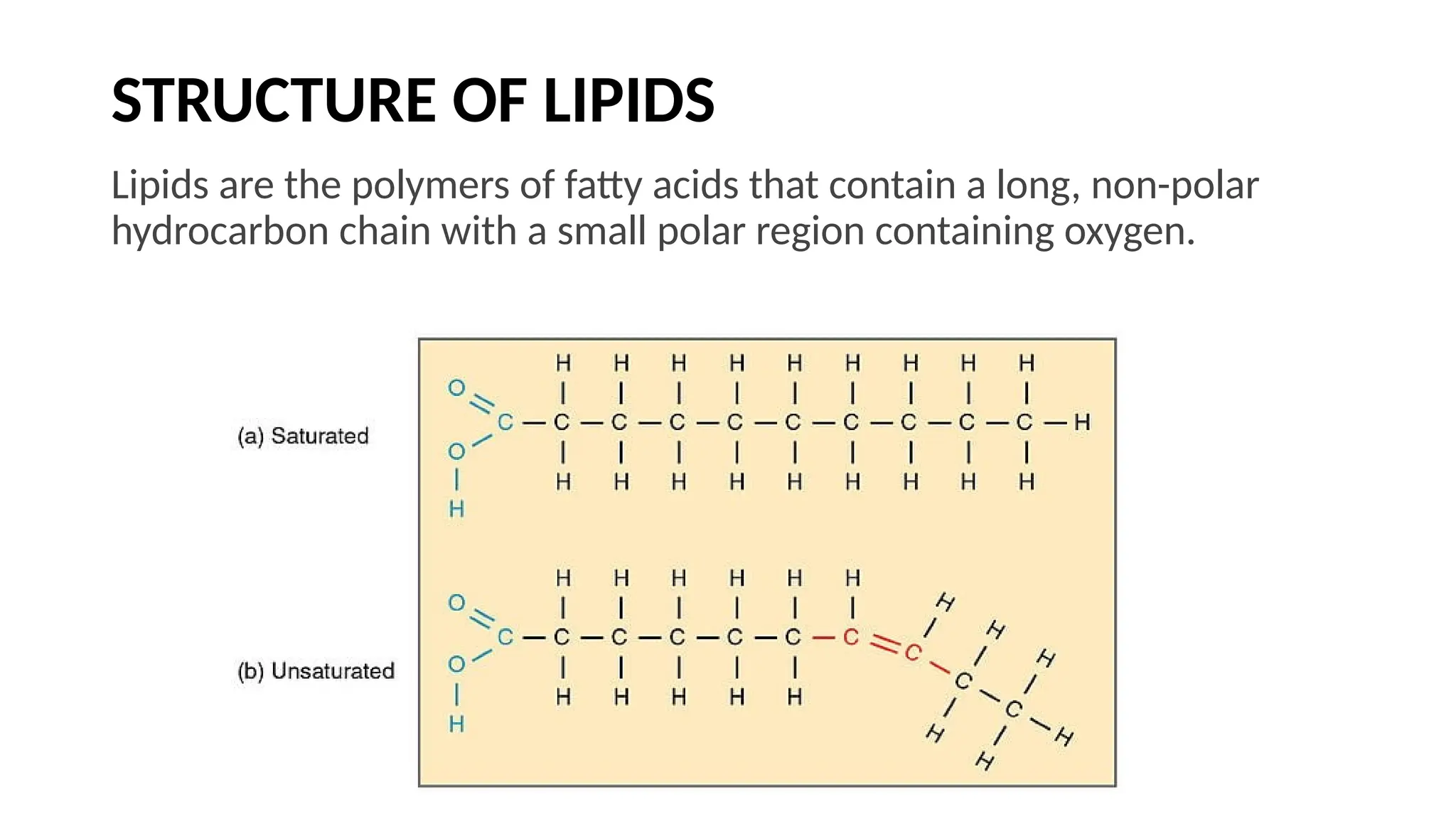 LIPIDS AND FATTY ACIDS - CLASSIFICATION, PROPERTYAND FUNCTIONS | PPTX
