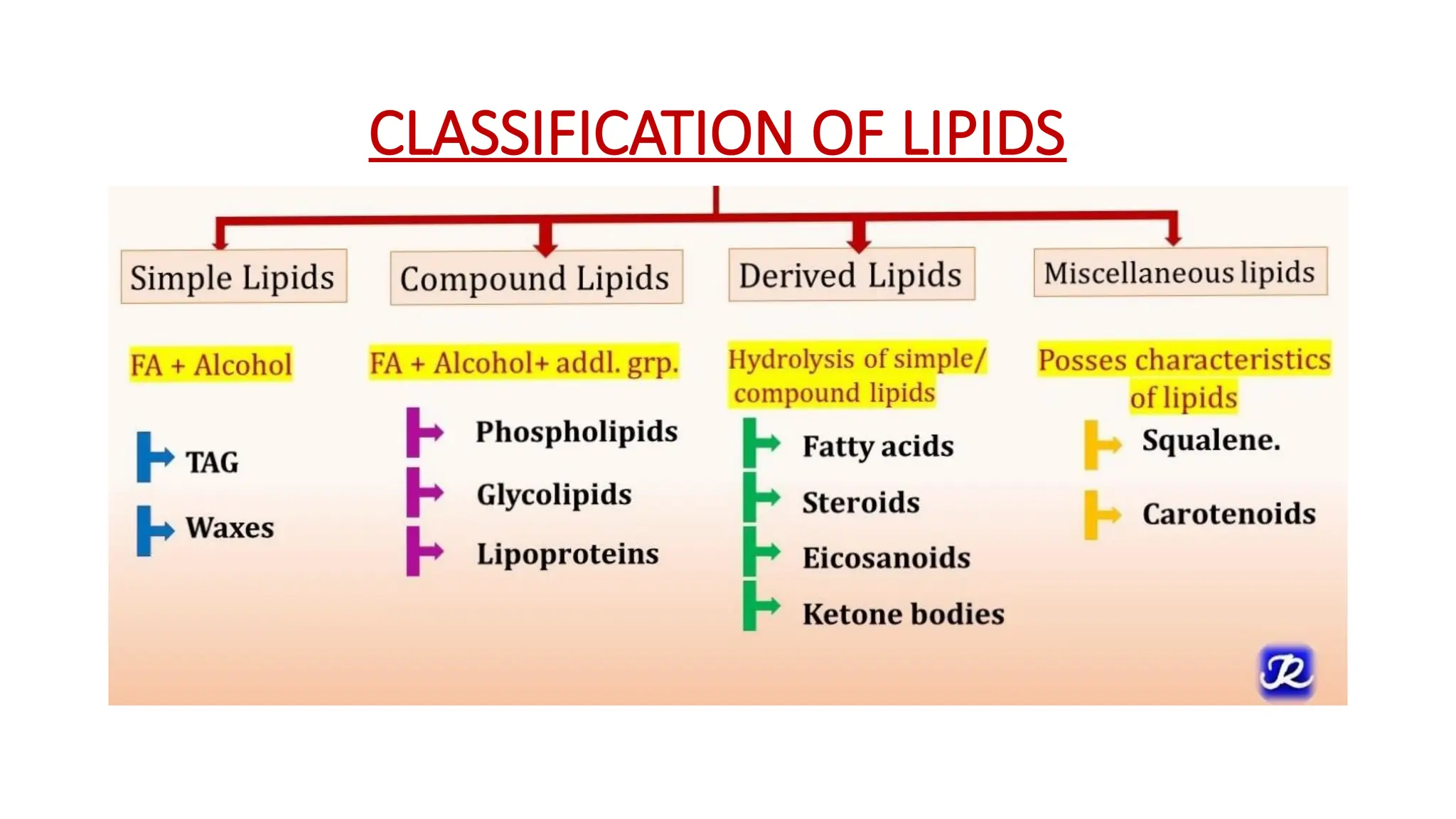 LIPIDS AND FATTY ACIDS - CLASSIFICATION, PROPERTYAND FUNCTIONS | PPTX