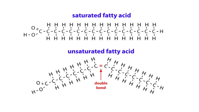 LIPIDS AND FATTY ACIDS - CLASSIFICATION, PROPERTYAND FUNCTIONS | PPT