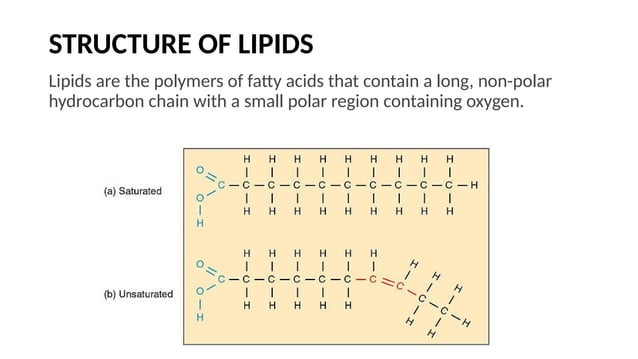 LIPIDS AND FATTY ACIDS - CLASSIFICATION, PROPERTYAND FUNCTIONS | PPT