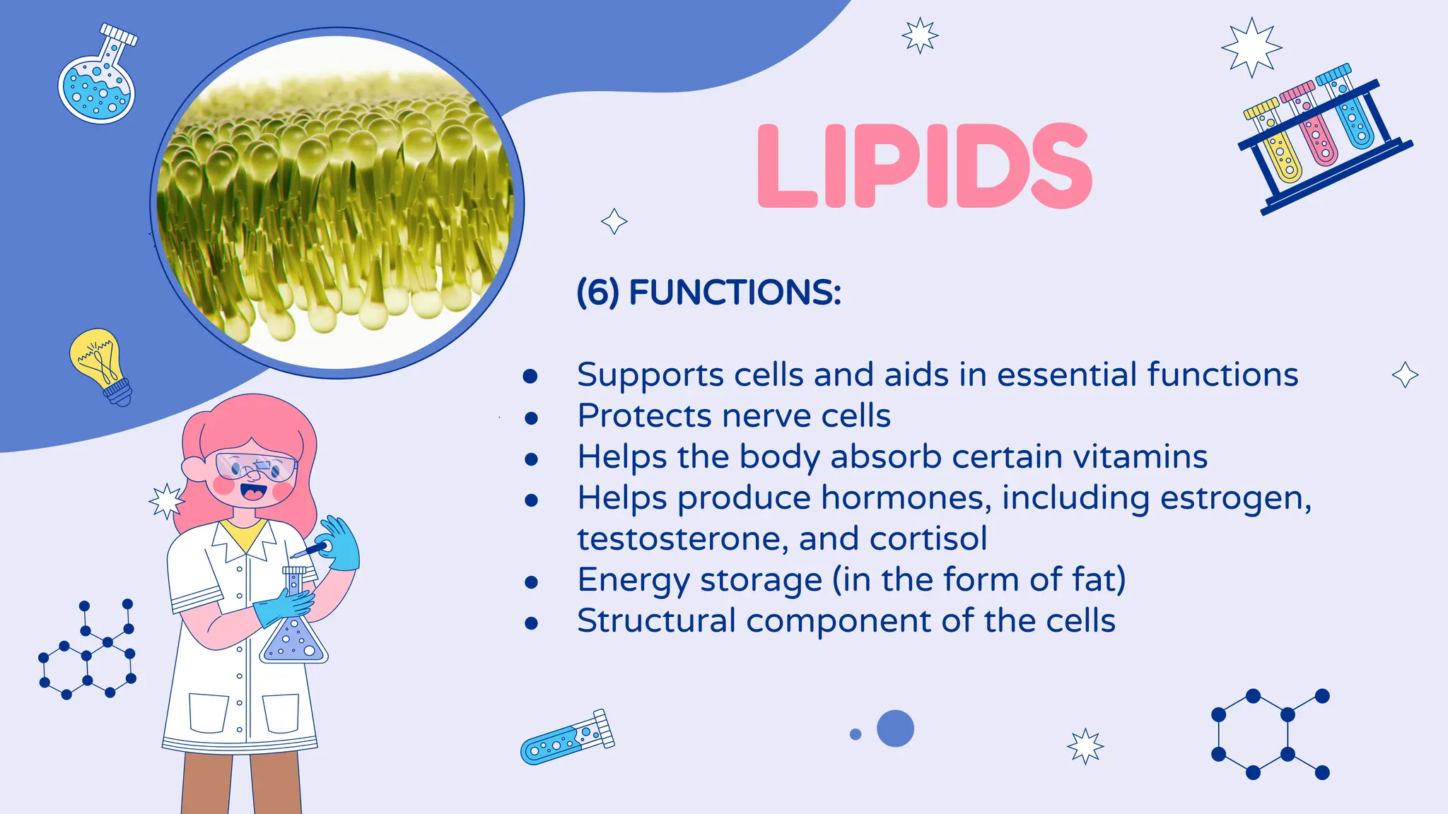 LIPIDS OF A CELL IN OUR BODY GENERAL BIOLOGY 1 GRADE 11 STEM.pdf