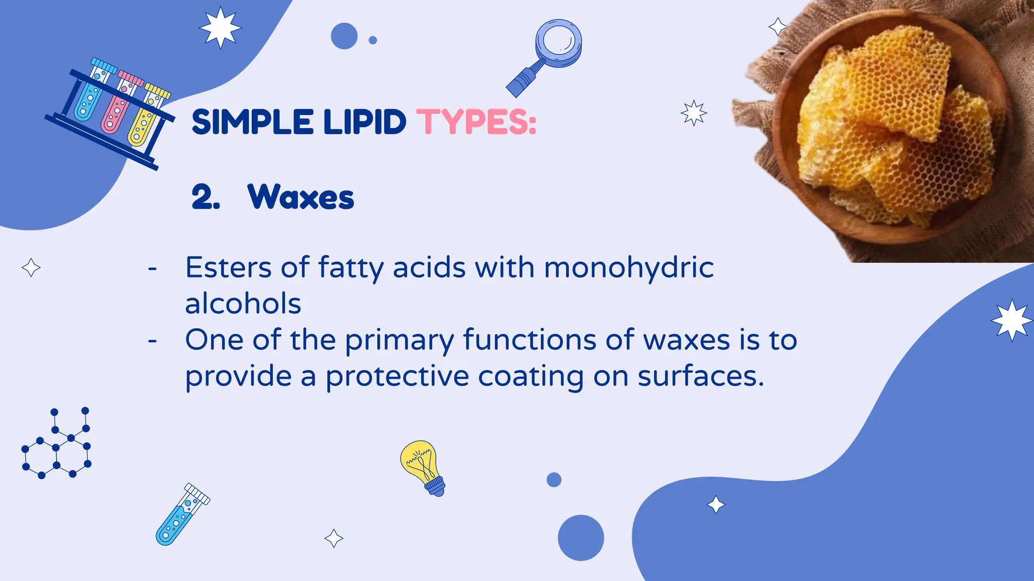 LIPIDS OF A CELL IN OUR BODY GENERAL BIOLOGY 1 GRADE 11 STEM.pdf