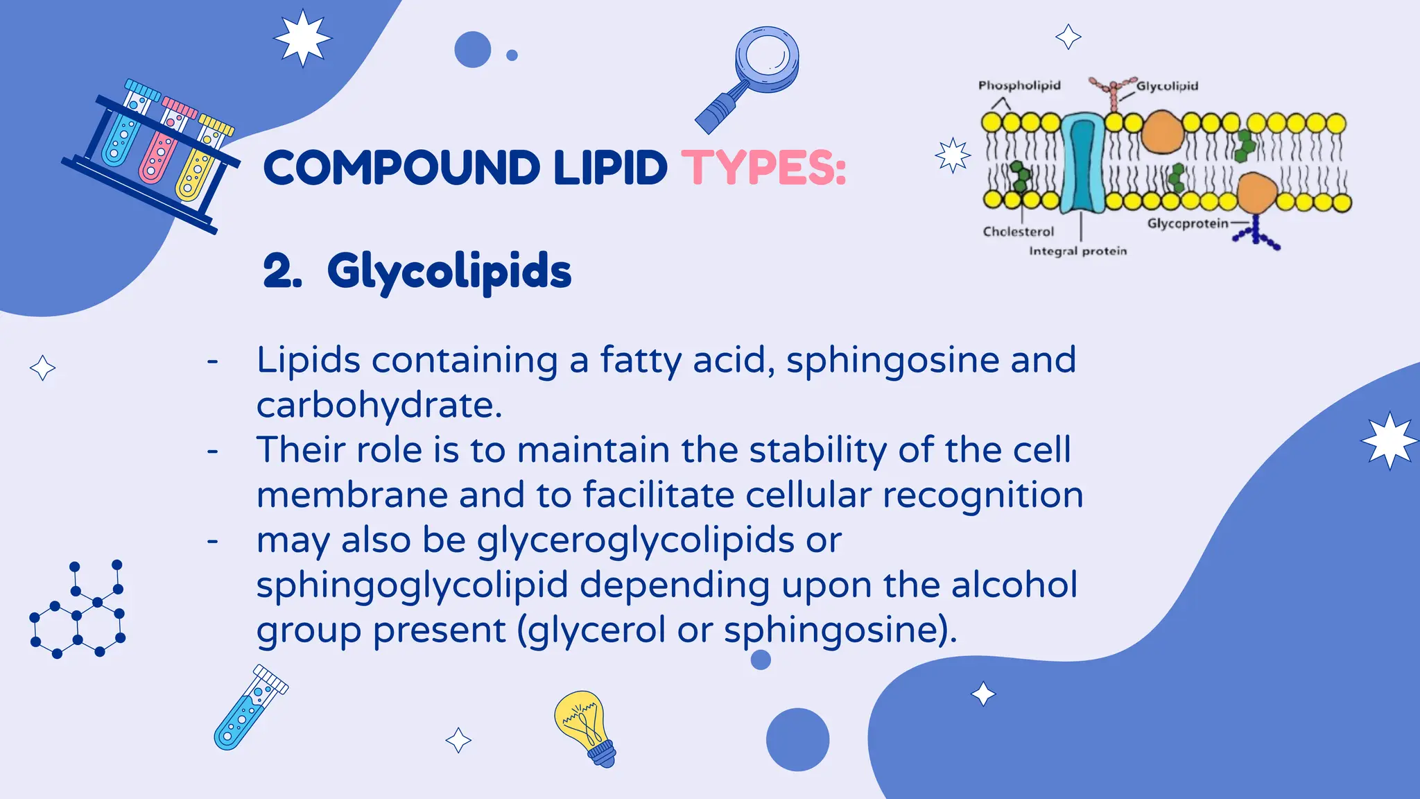 LIPIDS OF A CELL IN OUR BODY GENERAL BIOLOGY 1 GRADE 11 STEM.pdf