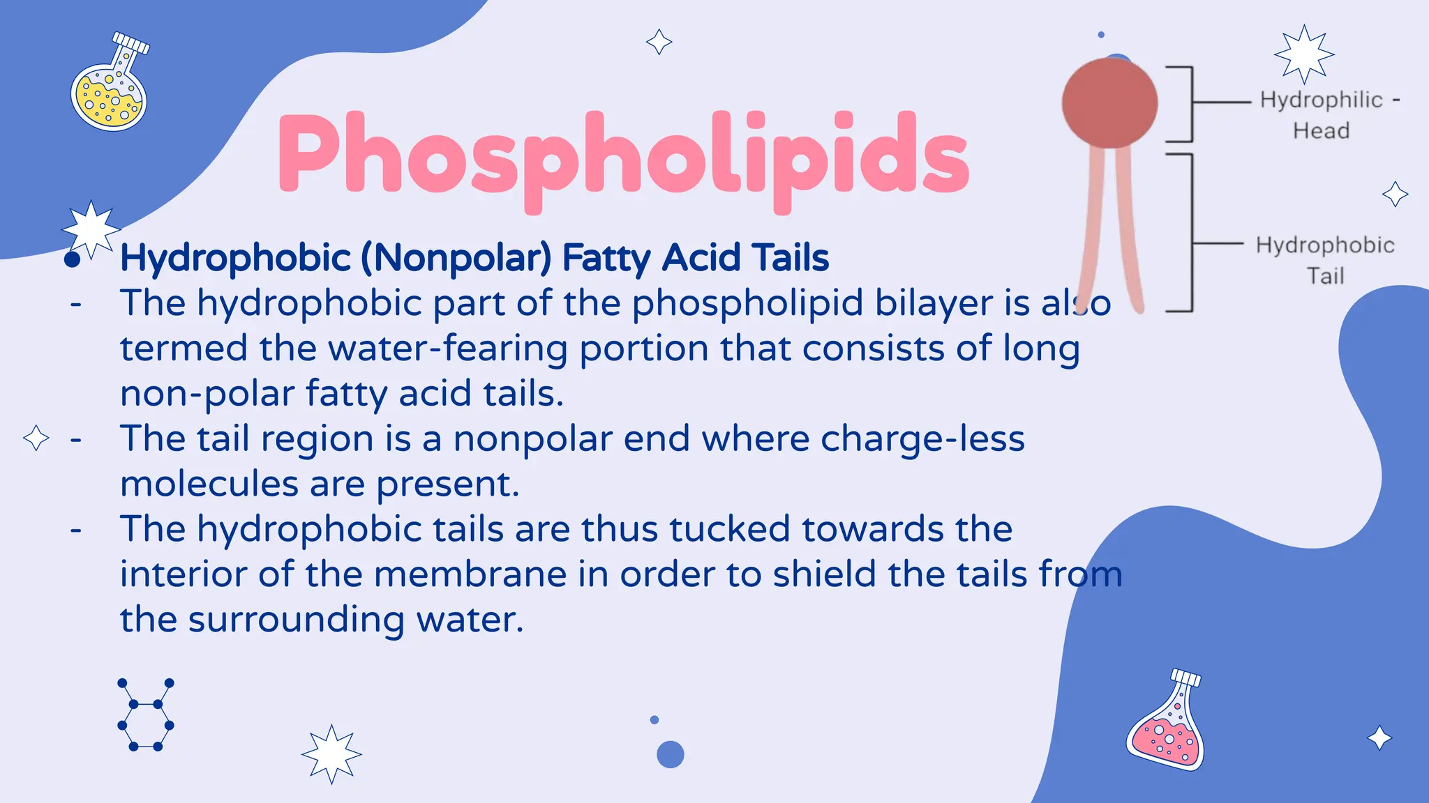 LIPIDS OF A CELL IN OUR BODY GENERAL BIOLOGY 1 GRADE 11 STEM.pdf