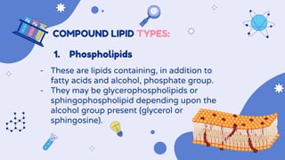 LIPIDS OF A CELL IN OUR BODY GENERAL BIOLOGY 1 GRADE 11 STEM.pdf