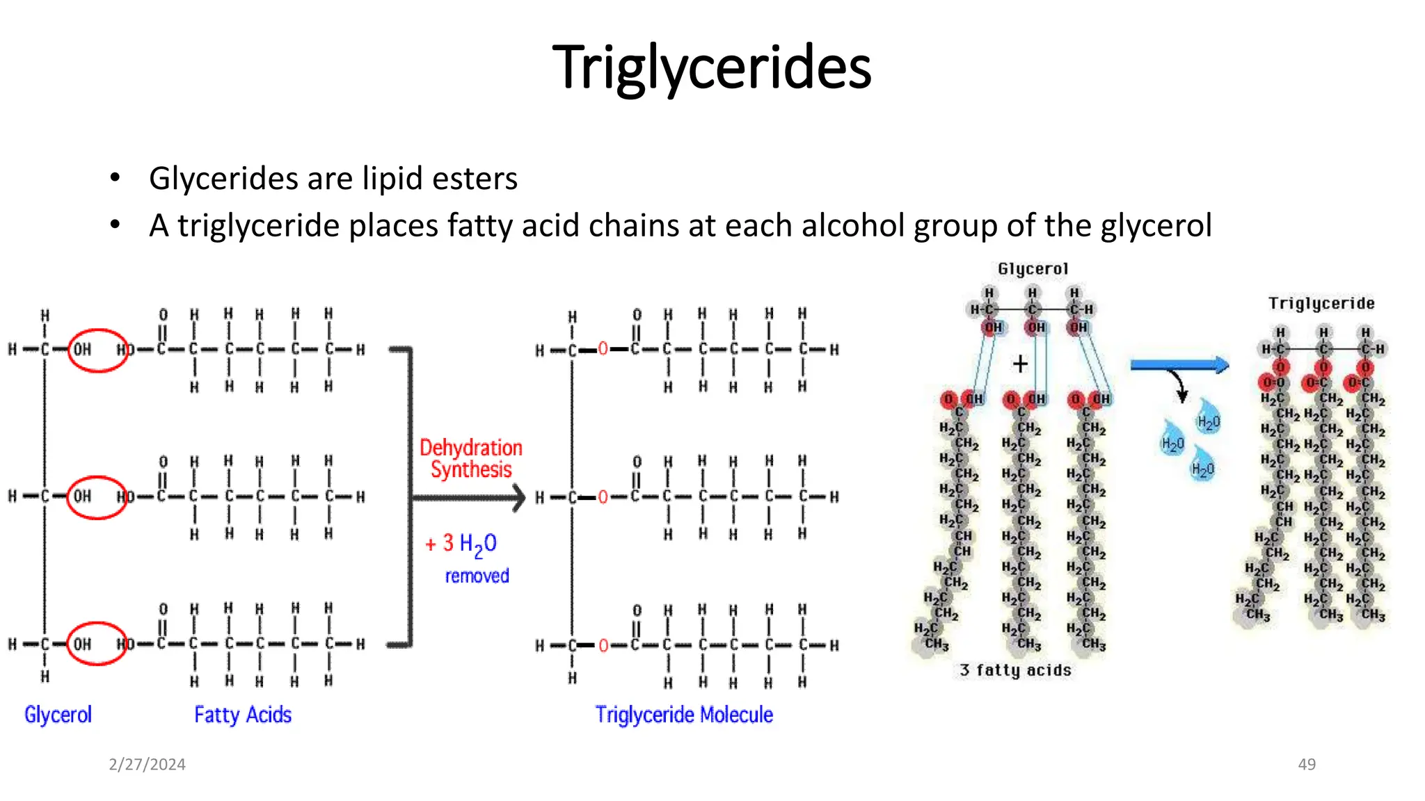 Lipids.pptx . Lipids and function of lipids and structure and types | PPTX