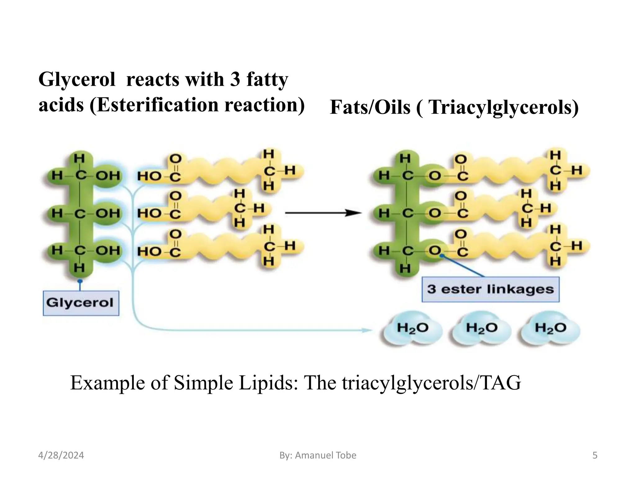 Lipids are a diverse group of organic molecules that are insoluble in ...