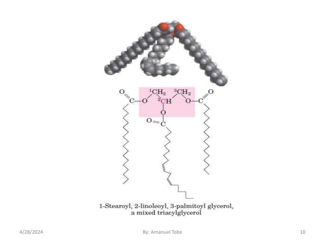Lipids are a diverse group of organic molecules that are insoluble in ...