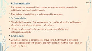 Lipids: types, structure and important functions. | PDF