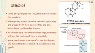 Lipids: types, structure and important functions. | PDF