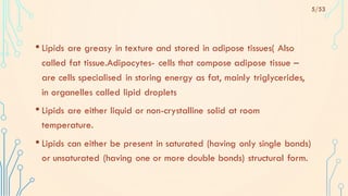Lipids: types, structure and important functions. | PDF